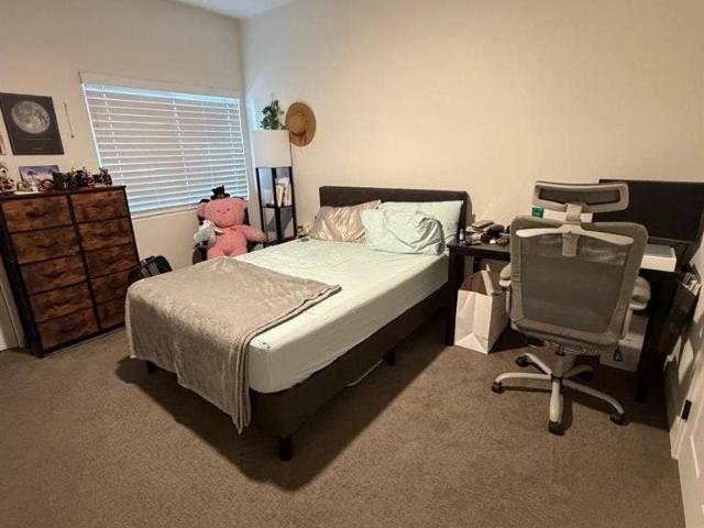 Looking for a female roommate