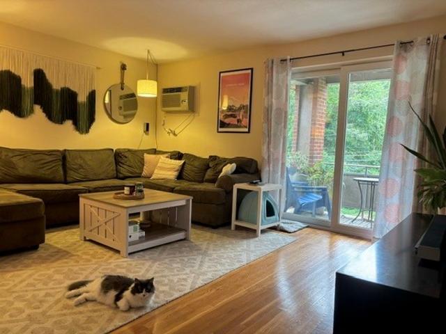 Looking for a Female Roommate in Waltham! Sep 1 Move In with some flexibility!
