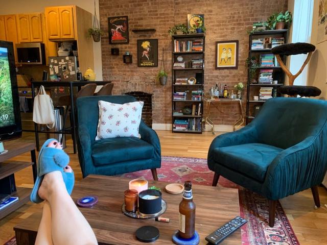 Looking for a friendly, cat loving roomie