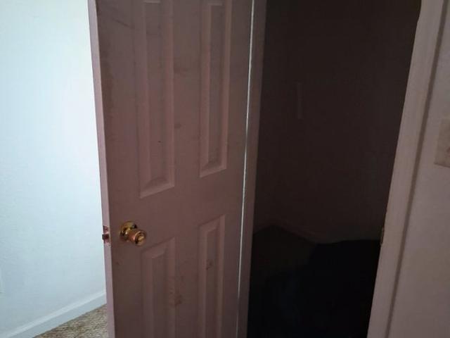 Looking for a good roommate