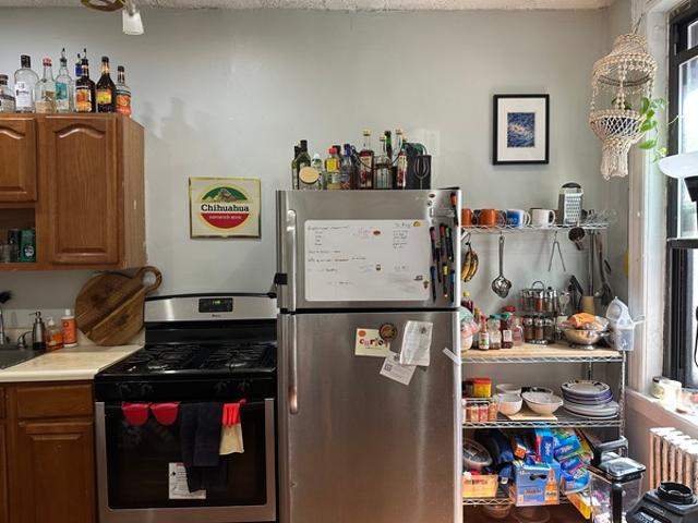 Looking for a kind, tidy roomie!
