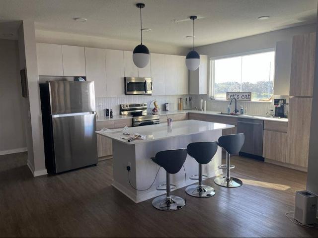 Looking for a professional roommate