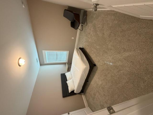 Looking for a professional roommate