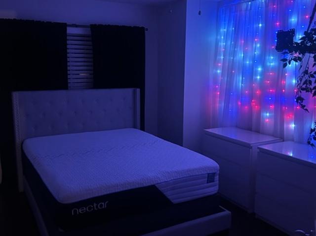 Looking for a quiet, modern sanctuary in Phoenix?