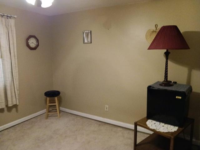 Looking for a quiet female