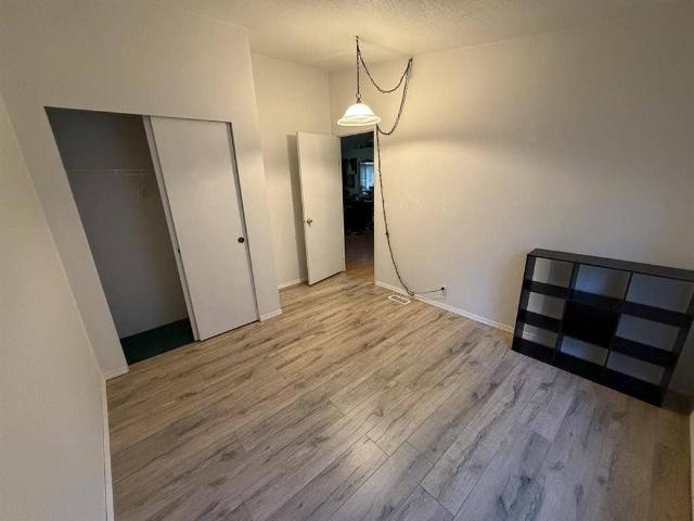 Looking for a quiet roommate