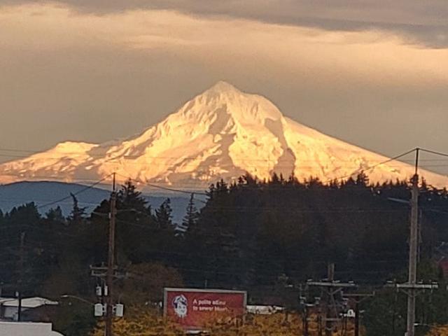 Looking for a quiet roommate