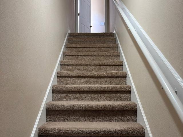 Looking for a reliable low key roommate