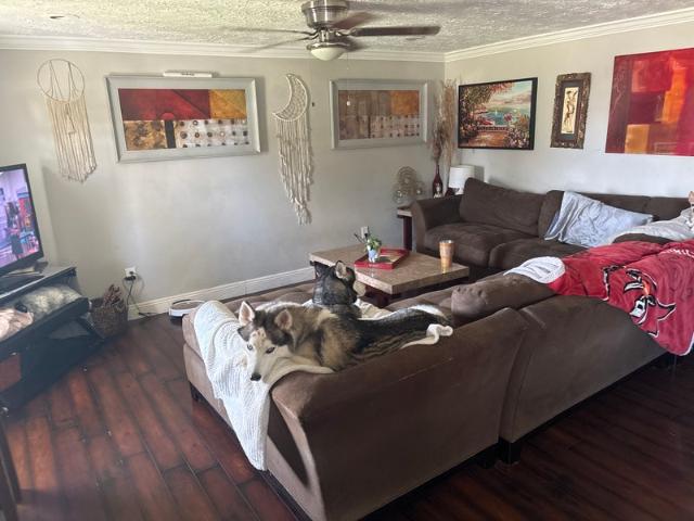 Looking for a reliable roommate pets allowed