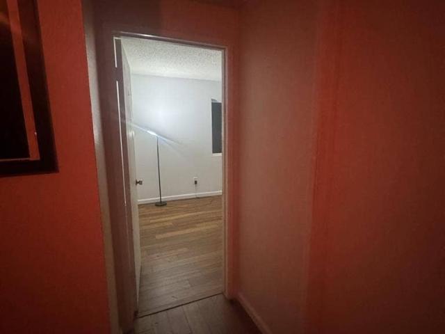 Looking for a Respectful Roommate