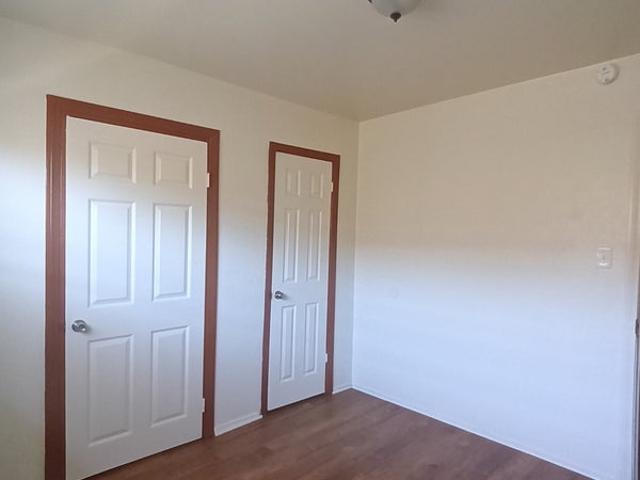 Looking for a room?