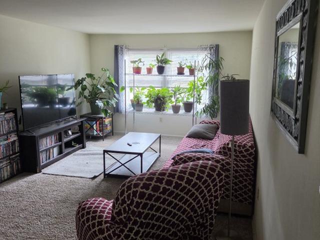 Looking for a roomate