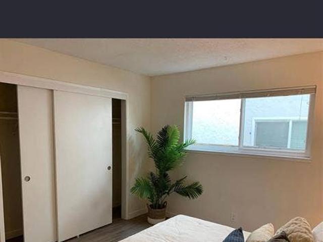 Looking for a roomate