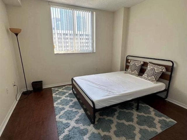 Looking for a roomate