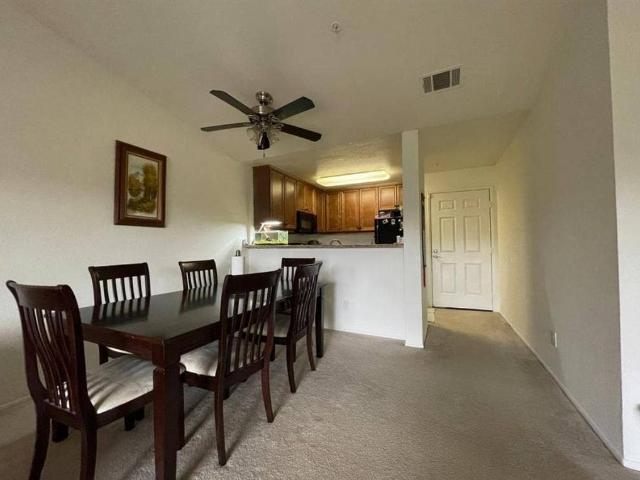 Looking for a roomie