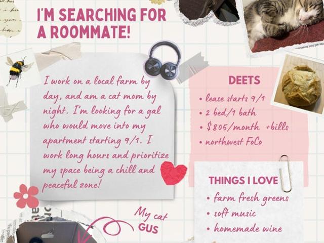 looking for a roomie to join my cute apartment!