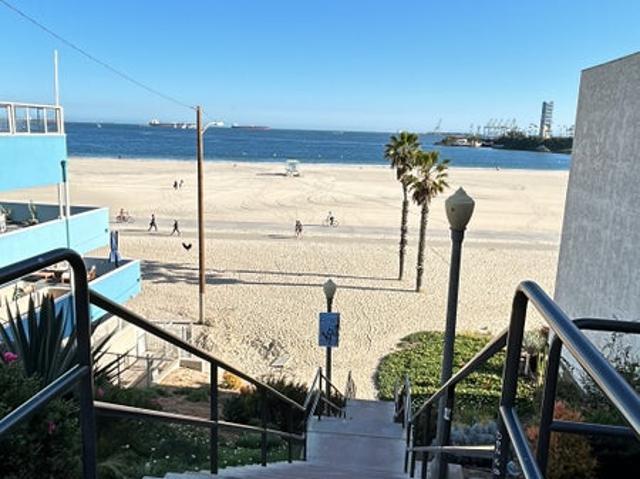 Looking for a Roomie at the Beach