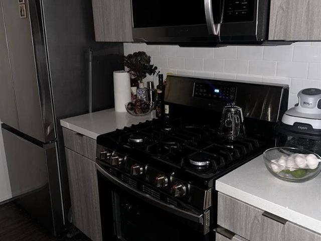 Looking for a roomie in luxury apt