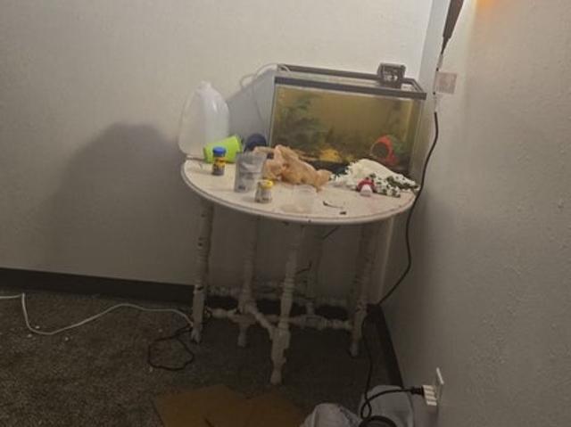 Looking for a roommate ASAP !