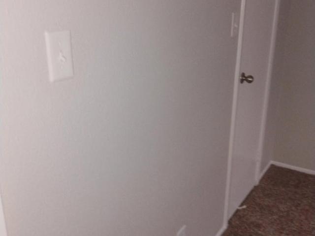 Looking for a roommate asap
