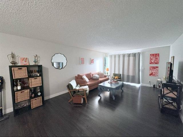 Looking for a roommate July/August