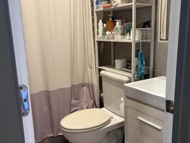 Looking for a roommate to join our 3bd in Bed Stuy