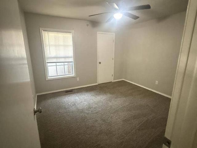Looking for a roommate