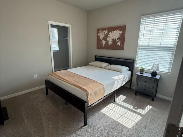 Looking for a roommate