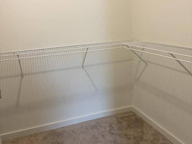 Looking for a roommate
