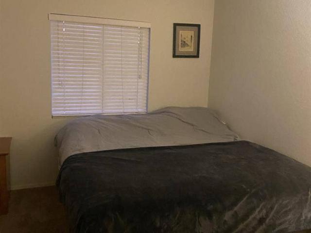Looking for a roommate