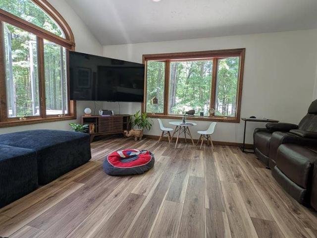 Looking for a roommate
