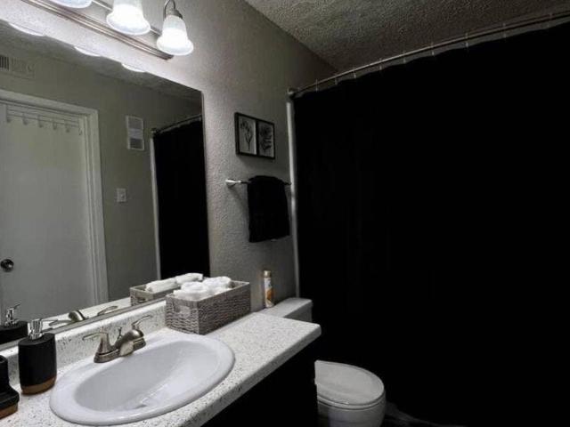 Looking for a roommate