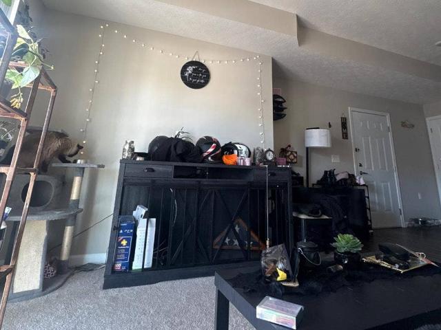 Looking for a roommate!