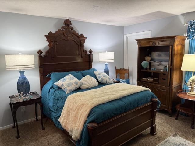 Looking for a roommate