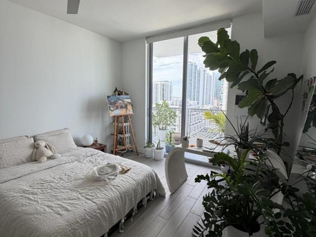 Looking for a roommate