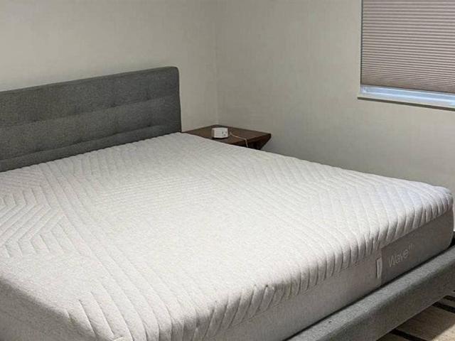 Looking for a roommate