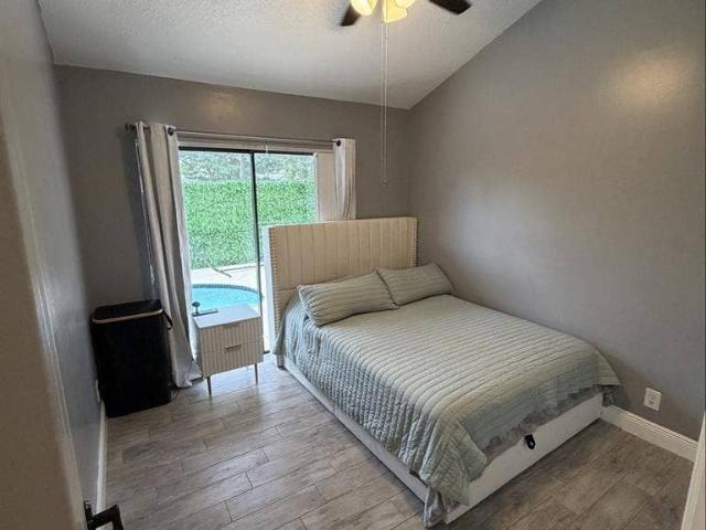 Looking for a roommate