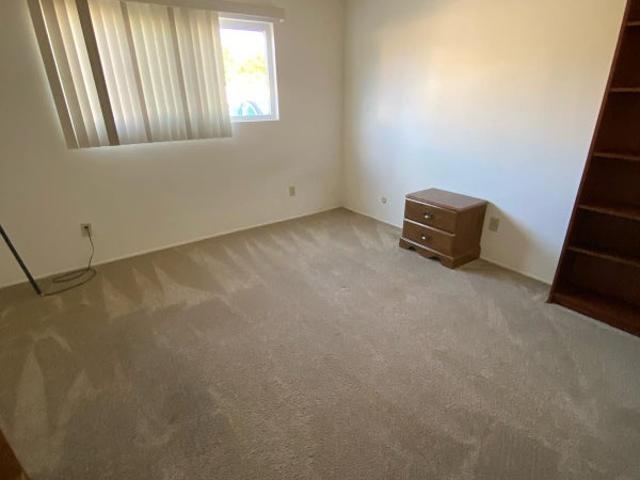 Looking for a roommate