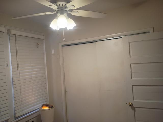 Looking for a roommate