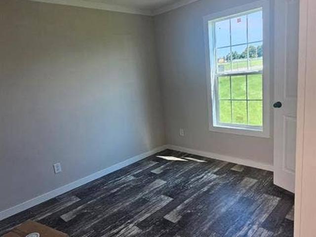 Looking for a roommate