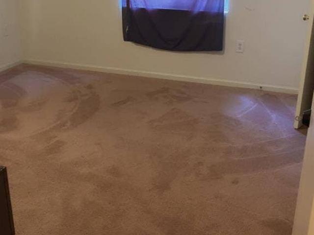 Looking for a roommate!