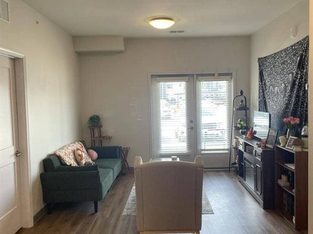 Looking for a roommate!