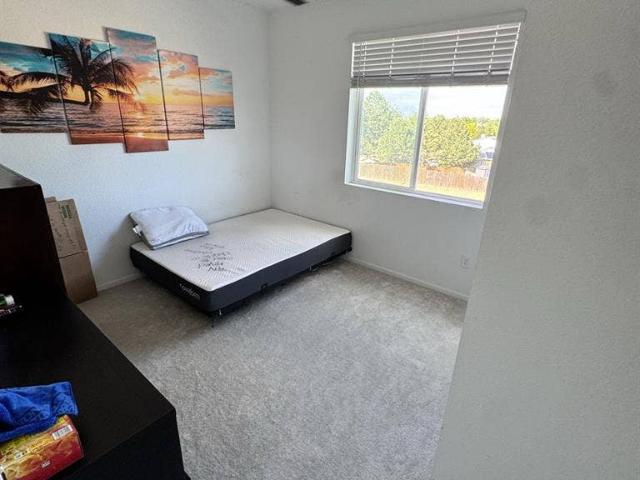 Looking for a roommate
