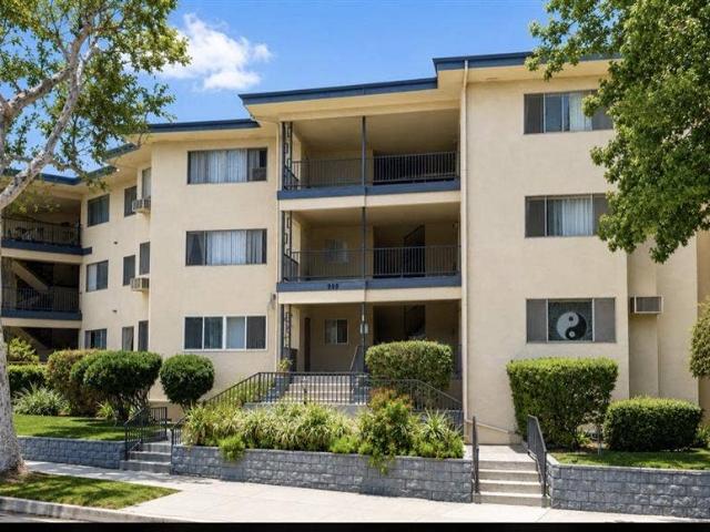 Looking for a roommate