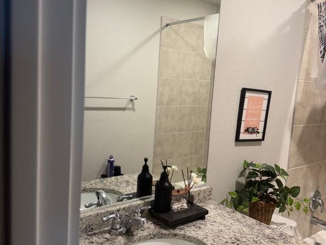Looking for a roommate