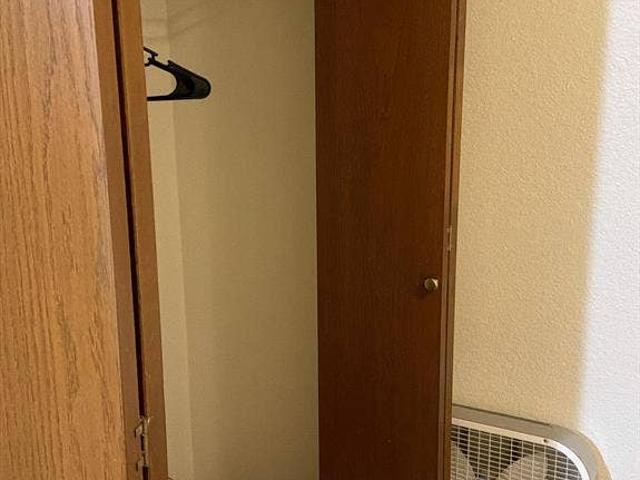 Looking for a roommate