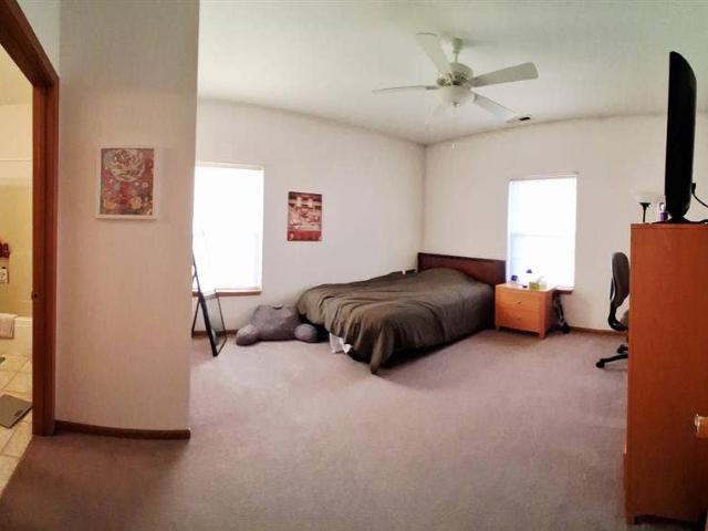 Looking for a roommate
