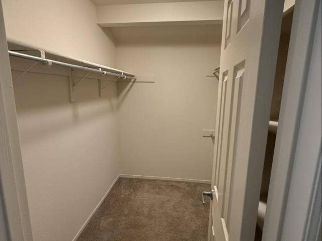 Looking for a roommate