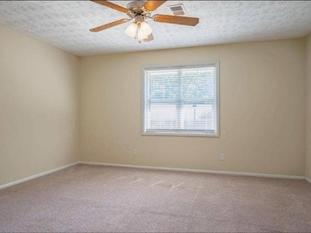 Looking for a roommate