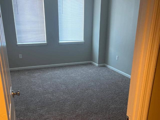 Looking for a roommate